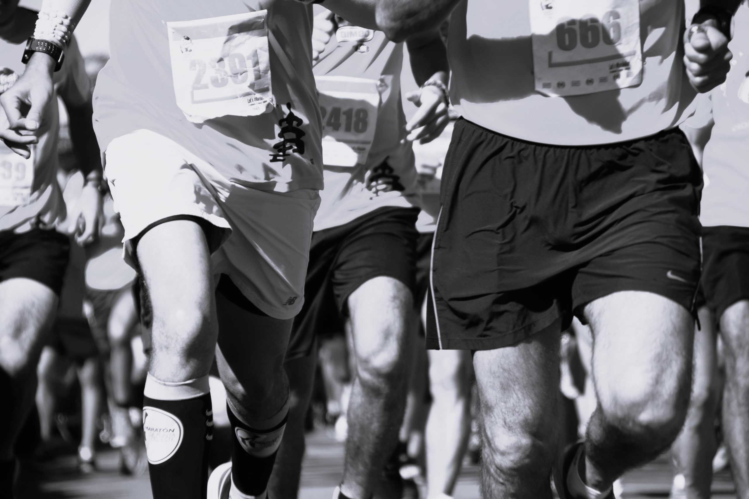 The Importance of Easy Runs - Running Coach Denver | Momentum Denver